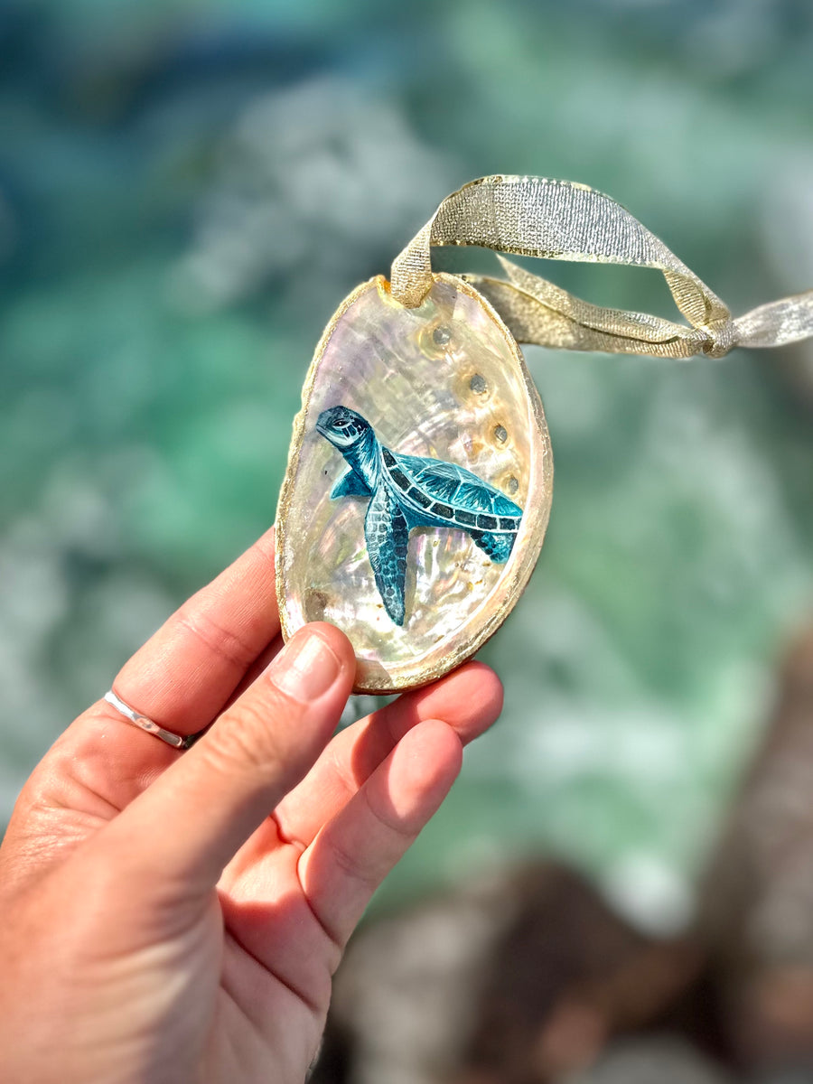 Azul Turtle – danielleburnside