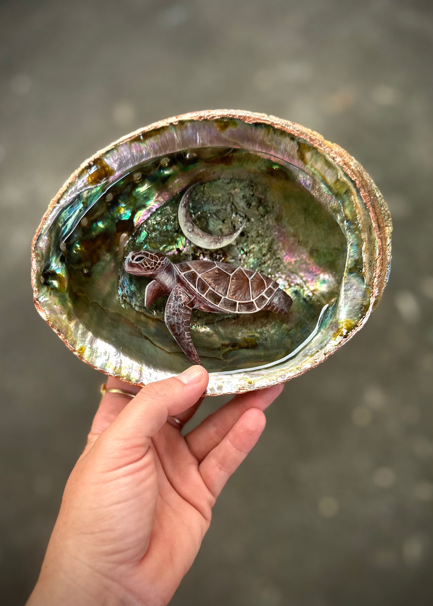 Brown Turtle Moon – danielleburnside