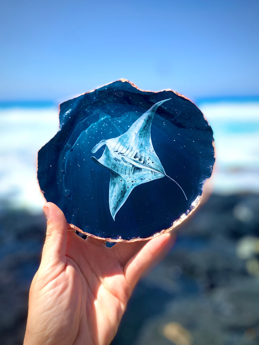 Manta Ray Scallop Shell – danielleburnside