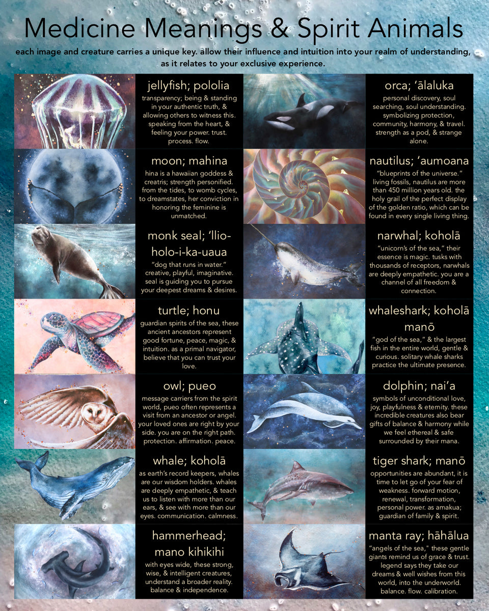 Narwhal Print – danielleburnside