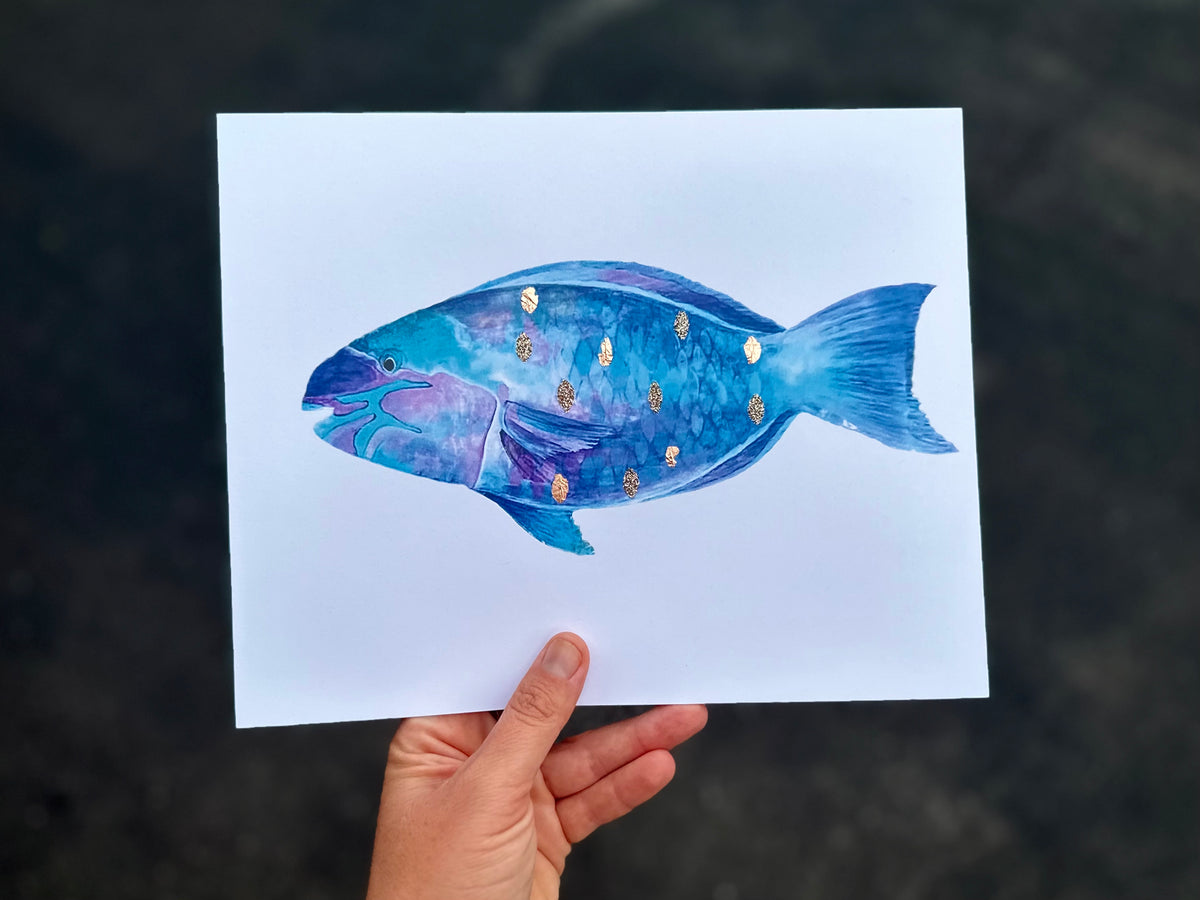 Parrot Fish - Uhu – danielleburnside
