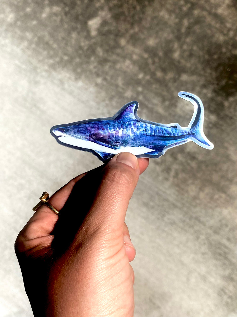 Tiger Shark Sticker – danielleburnside